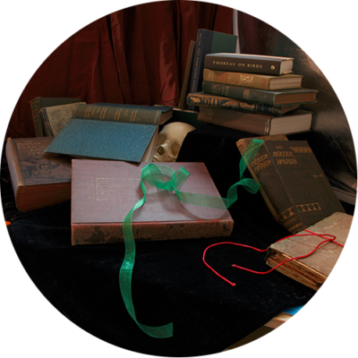 Home - Public Art University of Houston System